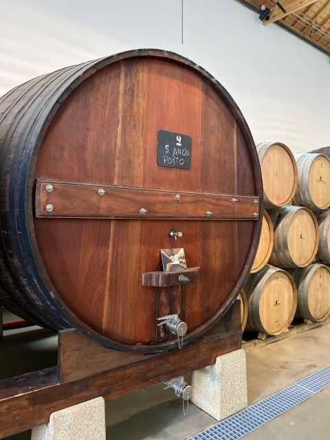 Douro - tour with train, walking, picnic and wines - The Sum Up: Why This Tour Is a Great Choice
