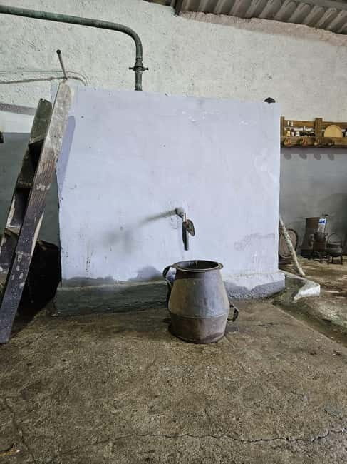 Douro: Traditional Harvest Lunch at Quinta de Sobre a Fonte - Additional Details & Practical Tips