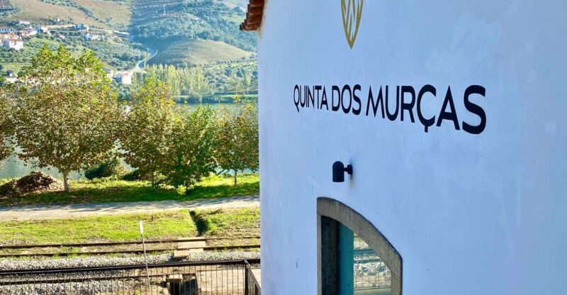 Douro triathlon from Porto - car, walk and train - Who Will Love This Tour?