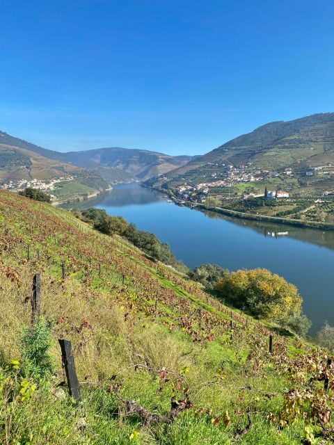 Douro triathlon from Porto - car, walk and train - The Sum Up: Why This Tour is a Great Choice