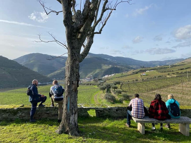Douro valley: 10 km hike in the Valley - Exploring Pinhão and the Optional Boat Tour