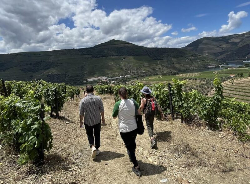 Douro valley: 10 km hike in the Valley - Good Logistics and Practicalities