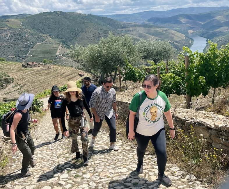 Douro valley: 10 km hike in the Valley - Analyzing the Value