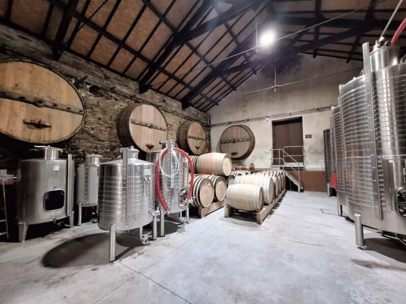 Douro Valley: 2 Wineries, Lunch & Boat - Discover the Douro Valley: Wineries, Lunch & Boat