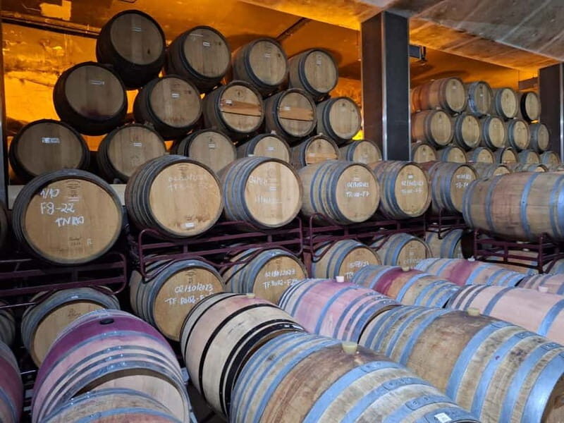 Douro Valley: 2 Wineries, Lunch & Boat - Introduction: Why This Tour Stands Out