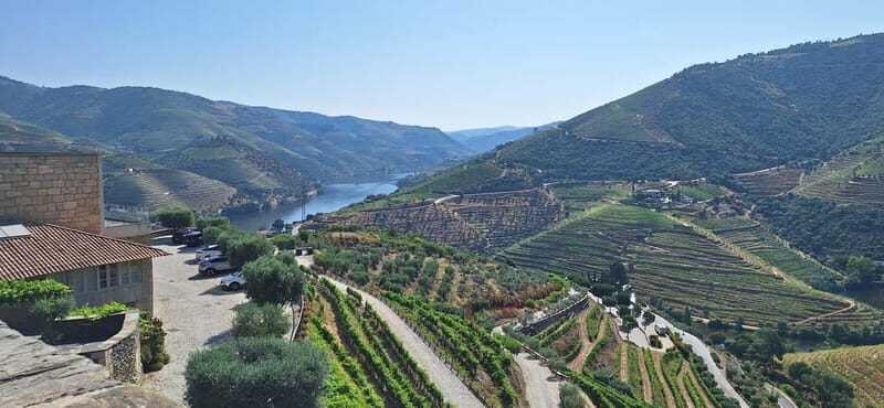 Douro Valley: 2 Wineries, Lunch & Boat - The Logistics: Comfort, Timing, and Flexibility