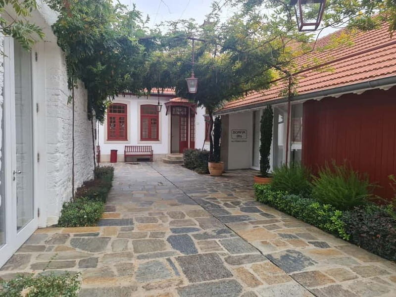 Douro Valley: A Day in Douro Valley Tasting The Best Wines - A Gourmet Lunch in the Heart of the Douro