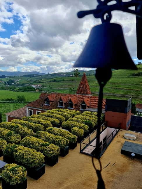 Douro Valley: A Day in Douro Valley Tasting The Best Wines - Who is this tour best for?