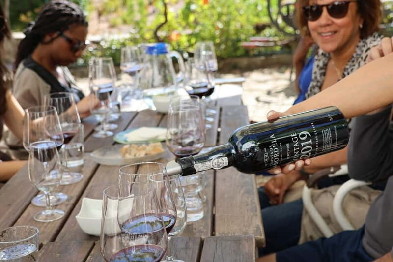 Douro Valley: A Half-Day Escape into Wine and Traditions - Douro Valley: A Half-Day Escape into Wine and Traditions