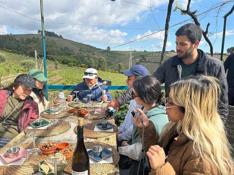 Douro Valley: A Half-Day Escape into Wine and Traditions - A Taste of Portugal’s First Wine Region