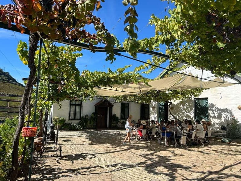 Douro Valley: A Half-Day Escape into Wine and Traditions - Practical Tips for Travelers