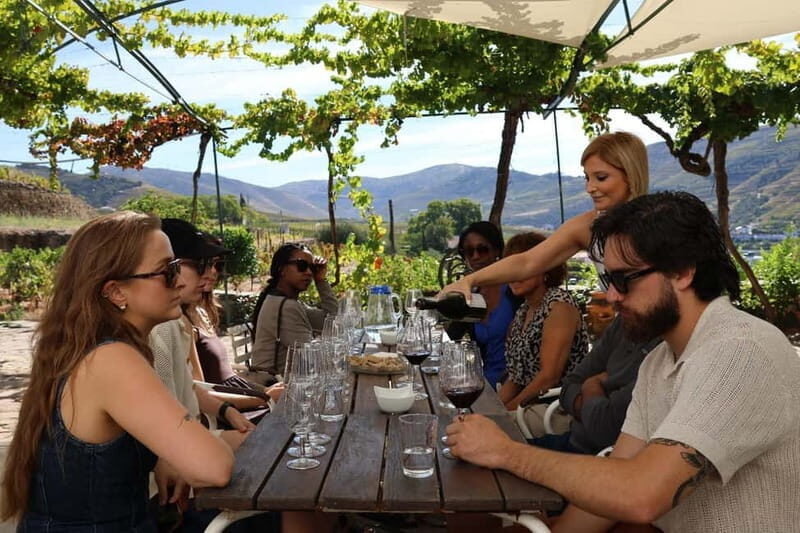 Douro Valley: A Half-Day Escape into Wine and Traditions - The Sum Up
