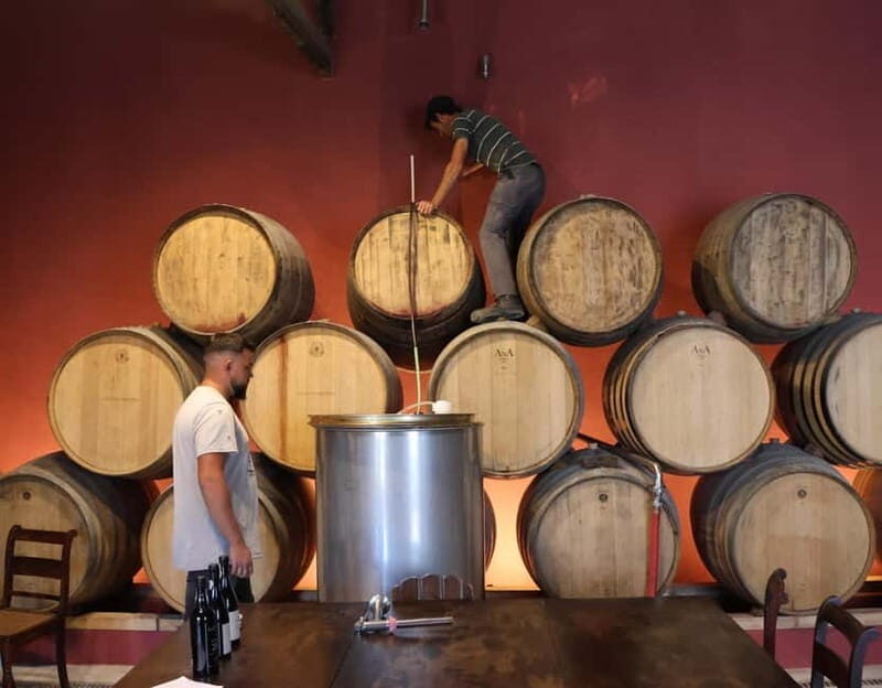 Douro Valley: A Half-Day Escape into Wine and Traditions - FAQ