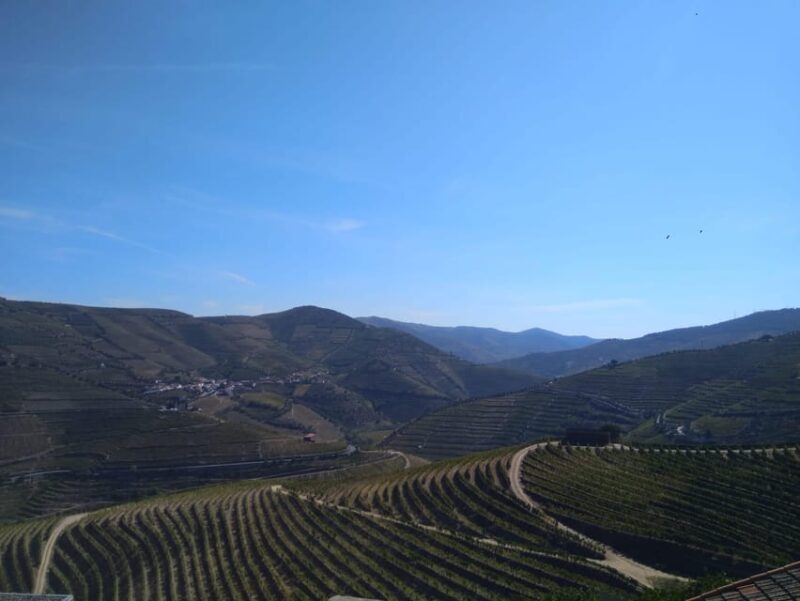 Douro Valley & Amarante - from Porto, Braga or Guimarães - Key Points