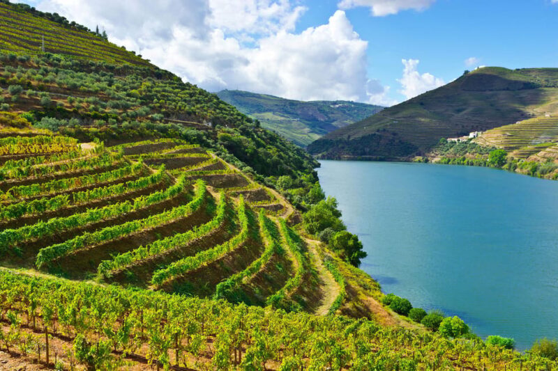 Douro Valley & Amarante - from Porto, Braga or Guimarães - Introduction: A Well-Curated Day in Northern Portugal
