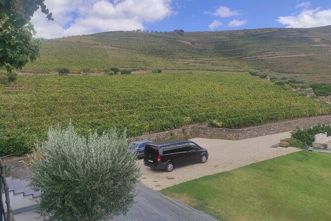 Douro Valley amazing wine Tours - Key Points