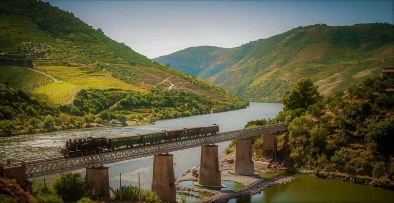Douro Valley: Cruise & vineyard discovery from Porto or Aveiro - An Introduction to the Douro Valley Experience