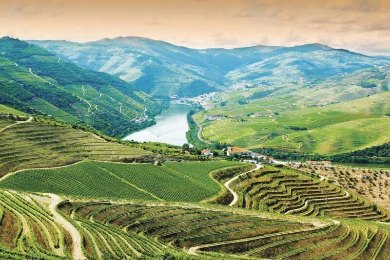 Douro Valley: Cruise & vineyard discovery from Porto or Aveiro - The Authenticity and Cultural Touches