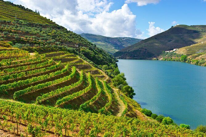 Douro Valley Delights Wine Tasting and Scenic Vistas - Family-Owned Charm at Quinta do Beijo