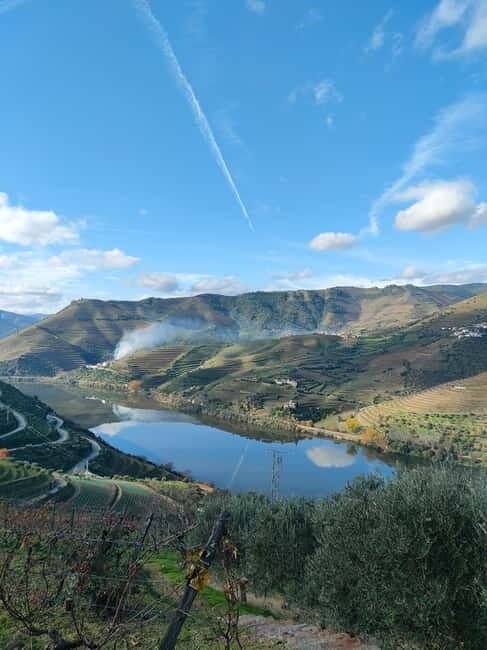 Douro Valley: Discover the Wine Region with Tastings. - Why This Tour Offers Great Value