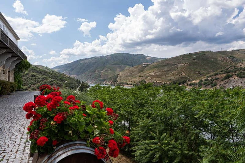 Douro Valley: Discover the Wine Region with Tastings. - Final Thoughts