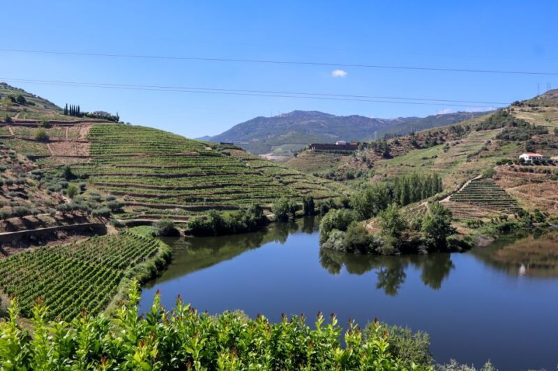 Douro Valley: Douro Valley Tour Including 3 Wineries - Practical Details & Tips for the Best Experience