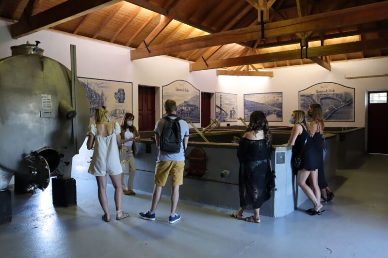 Douro Valley: Douro Valley Tour Including 3 Wineries - Is This Tour Right for You?