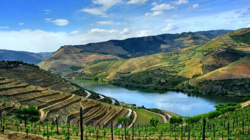 Douro Valley: Full-Day Private Tour from Porto - An Impressive Day of Scenic Beauty and Cultural Highlights