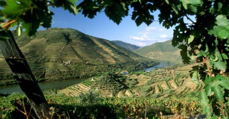 Douro Valley: Full-Day Private Tour from Porto - Régua: The Heart of the Douro Wine Region