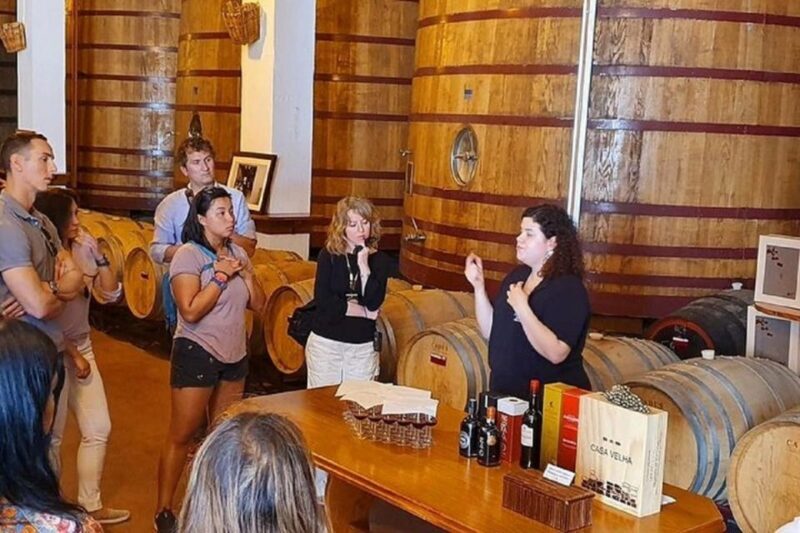Douro Valley: Full-Day Private Tour from Porto - The Value of a Private Tour