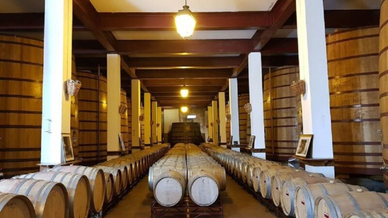 Douro Valley: Full-Day Private Tour from Porto - Authenticity and Authentic Experiences