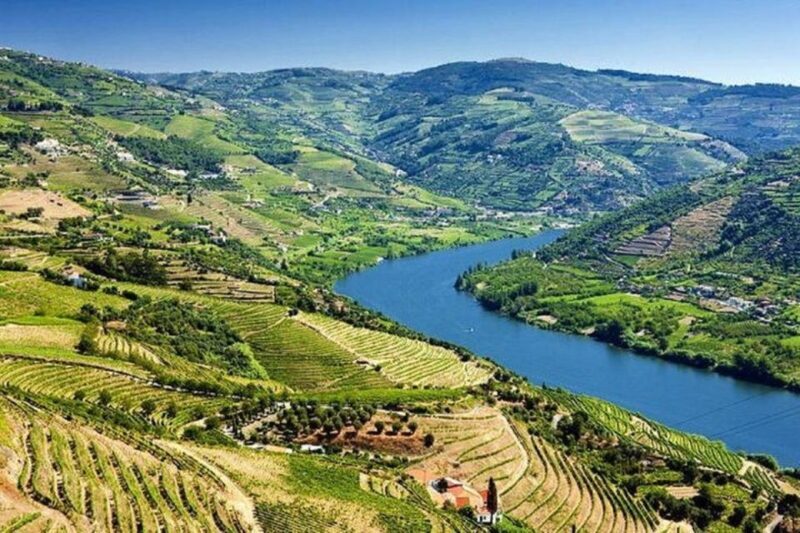 Douro Valley: Full-Day Private Tour from Porto - FAQ