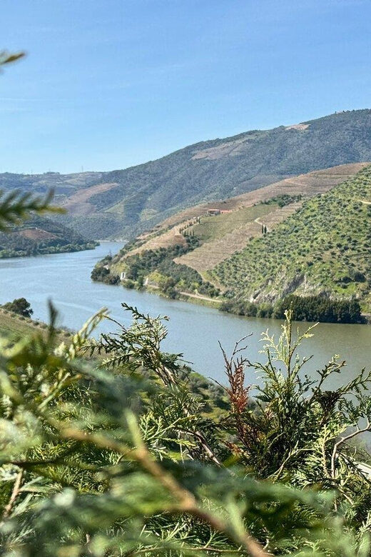 Douro Valley Full Day Tour From Lisbon - Key Points
