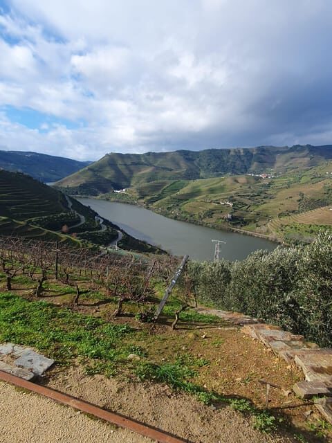 Douro Valley Full Day Tour From Lisbon - An In-Depth Look at the Douro Valley Tour