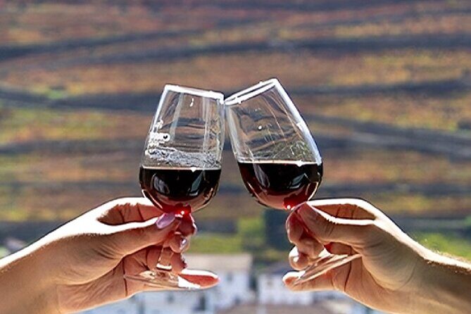 Douro Valley Full Day Tour with River Cruise and Wine Tastings - A Closer Look at the Douro Valley Tour Experience
