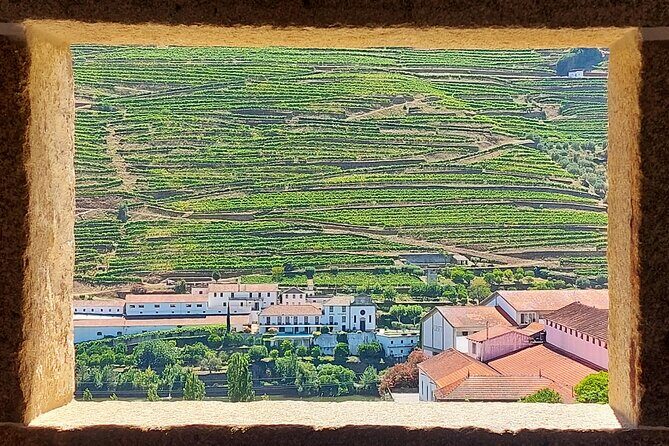 Douro Valley Full Day Tour with River Cruise and Wine Tastings - FAQs