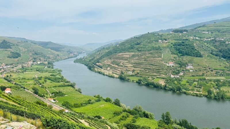 Douro Valley Journey: 4 Cities and Wine Estate All-Included - The Journey Through Portugal’s Douro Valley — In Detail