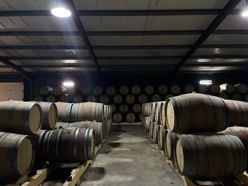 Douro Valley: Kayak and Vineyard Tour with Lunch and Wine - The Sum Up