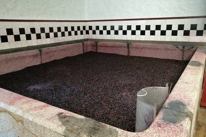 Douro valley Majestic - The Experience in Practice