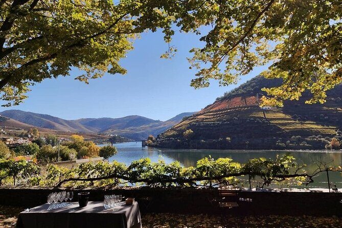 Douro Valley Pinhao Quinta da Foz Tour and Tasting 5 Wines - The Atmosphere and Experience