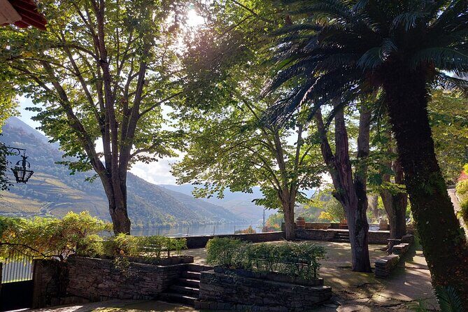 Douro Valley Pinhao Quinta da Foz Tour and Tasting 5 Wines - Practical Tips for Visiting