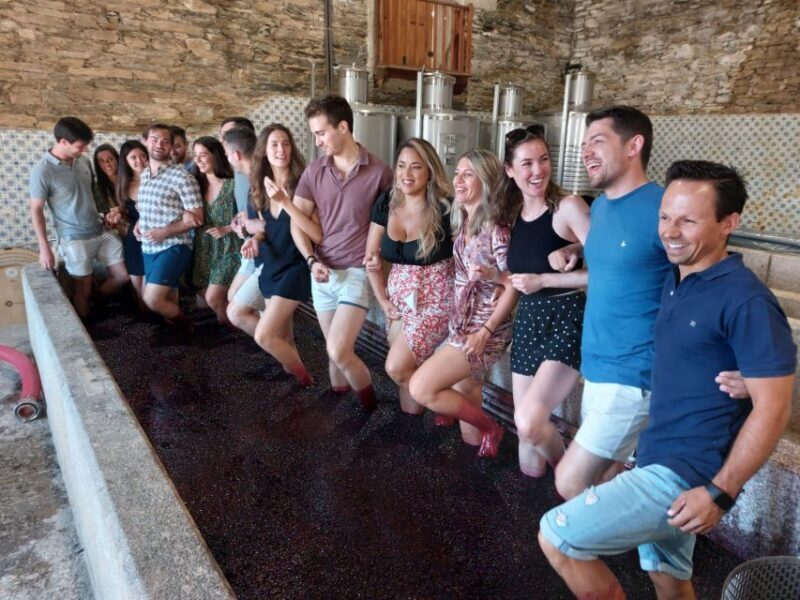 Douro Valley: (Pinhão) Quinta da Foz - Tour&Tasting 5 WINES - A Practical Look at the Experience