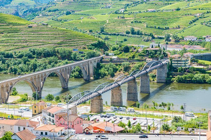 Douro Valley Private Full-Day Tour from Porto - What’s Included and What’s Not