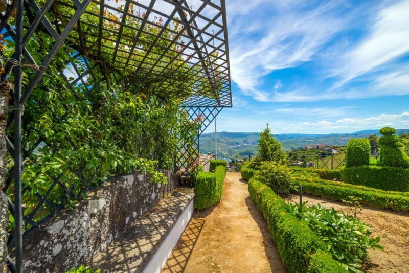 Douro Valley: Private Lunch with Wine & Olive Oil Tasting - Extra Time and Flexibility