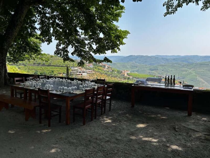 Douro Valley: Private Lunch with Wine & Olive Oil Tasting - Practical Considerations