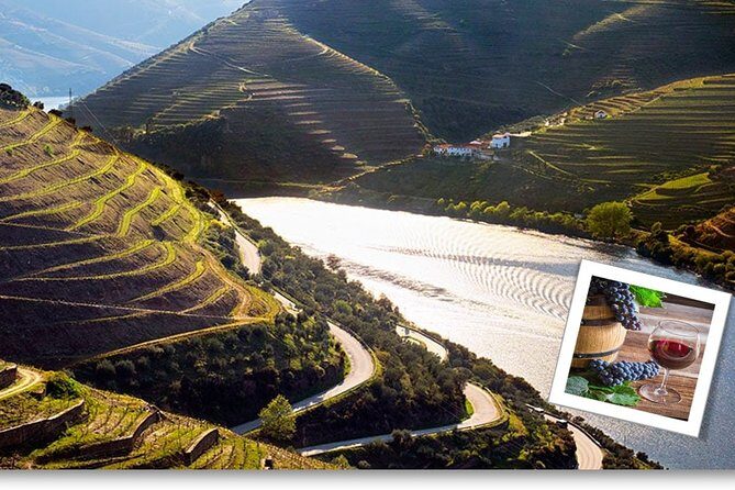 Douro Valley Private Premium Tour with Wine Tasting (1 to 4 people) - A Closer Look at the Itinerary