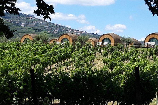 Douro Valley Private Premium Tour with Wine Tasting (1 to 4 people) - Final Thoughts