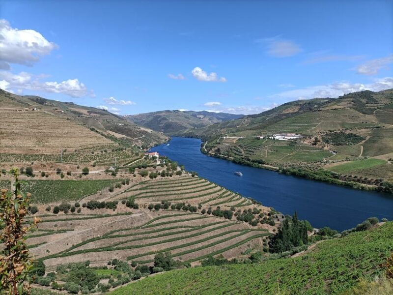 Douro Valley: Private Sommelier Tour with 3 Wineries & Lunch - Key Points