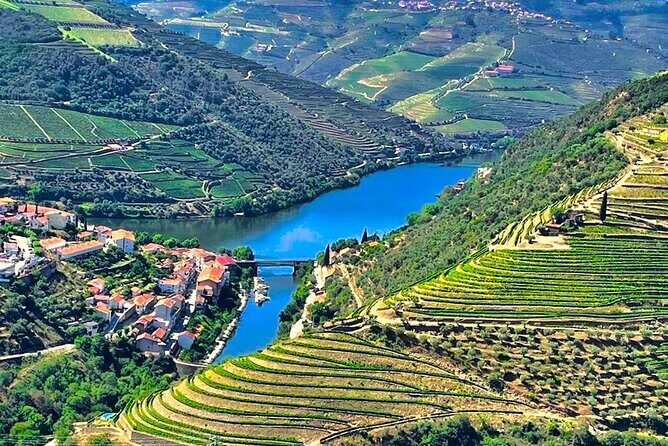 Douro Valley Private Tour: 2 Farms, Lunch & Boat Trip - A Detailed Look at the Douro Valley Private Tour