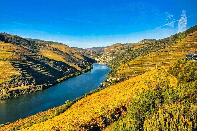 Douro Valley Private Tour: 2 Farms, Lunch & Boat Trip - Who To Suit This Tour